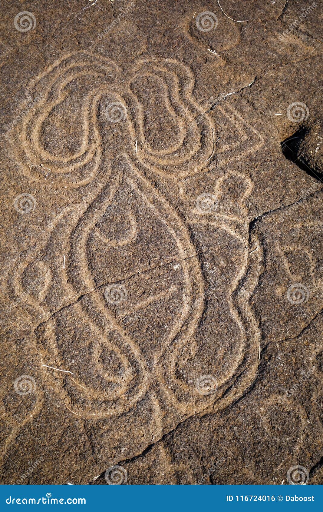 Petroglyphs on Rocks, Easter Island Stock Photo - Image of moaamacr ...