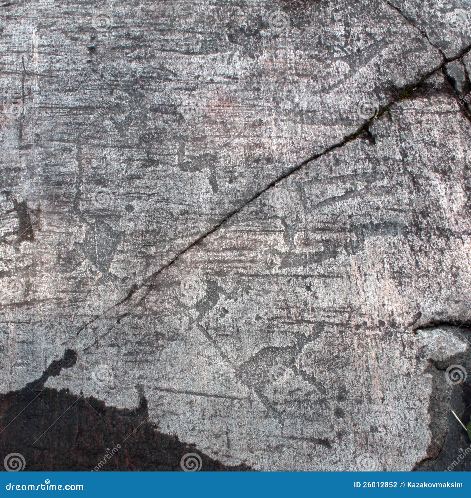 Petroglyphs of Zalavruga. Elk and Fish Stock Photo - Image of ...