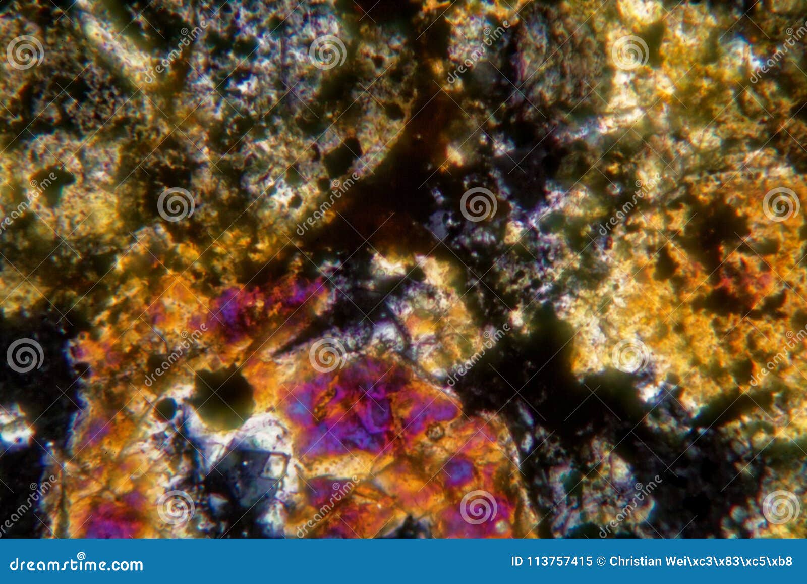 Thin Section Of Miocene Limestone Under The Microscope Stock Photo ...