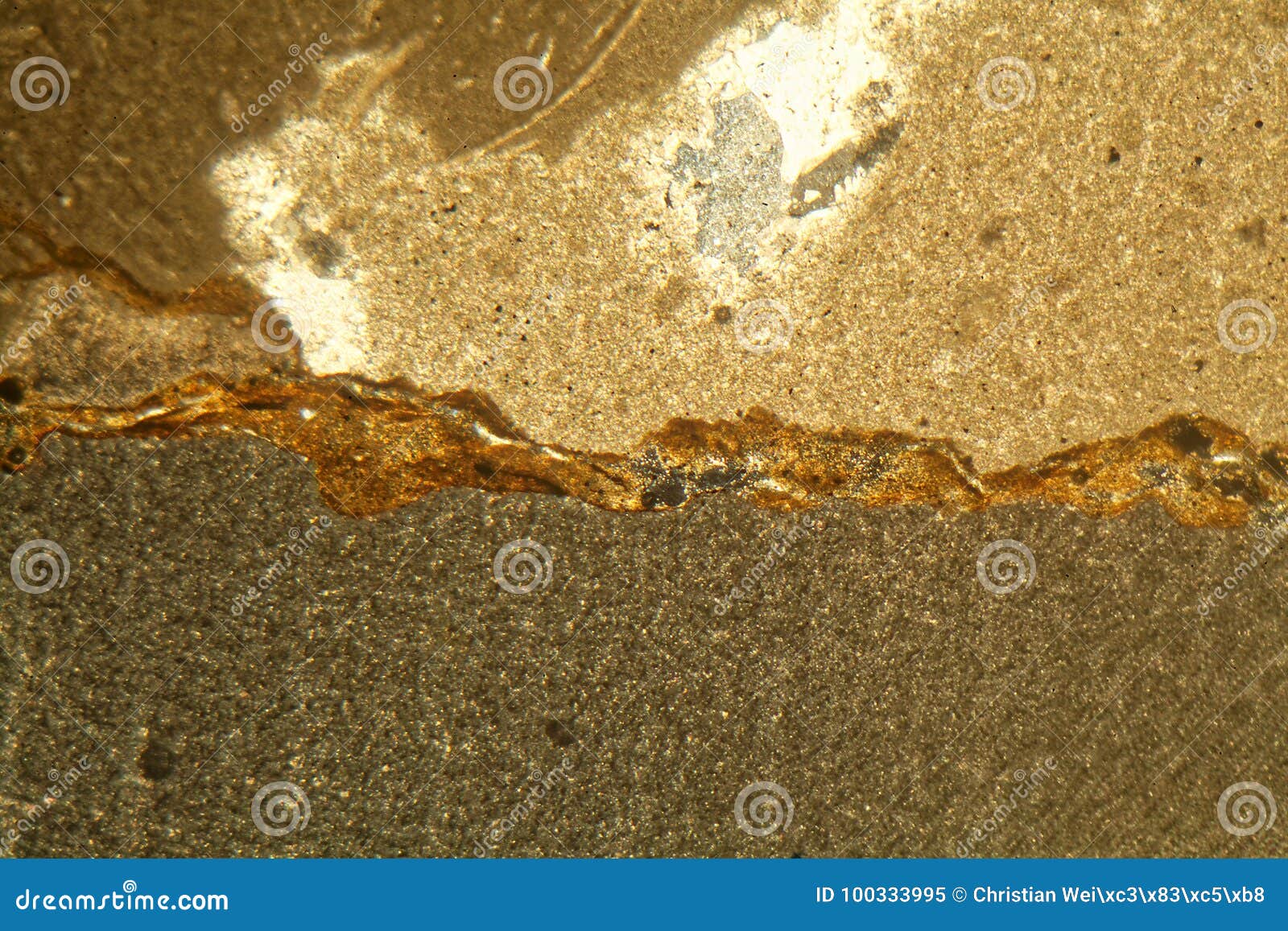 Thin Section of Triassic Carbonate Under the Microscope Stock Image ...