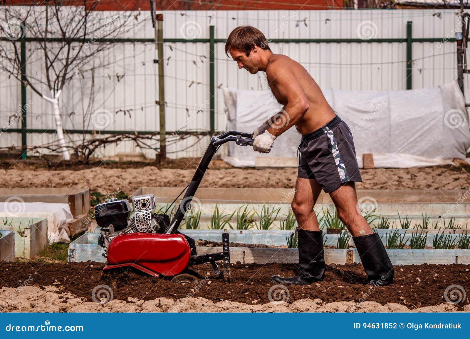 Farming Action With Tractor In Open Field Agriculture Content Sunny ...