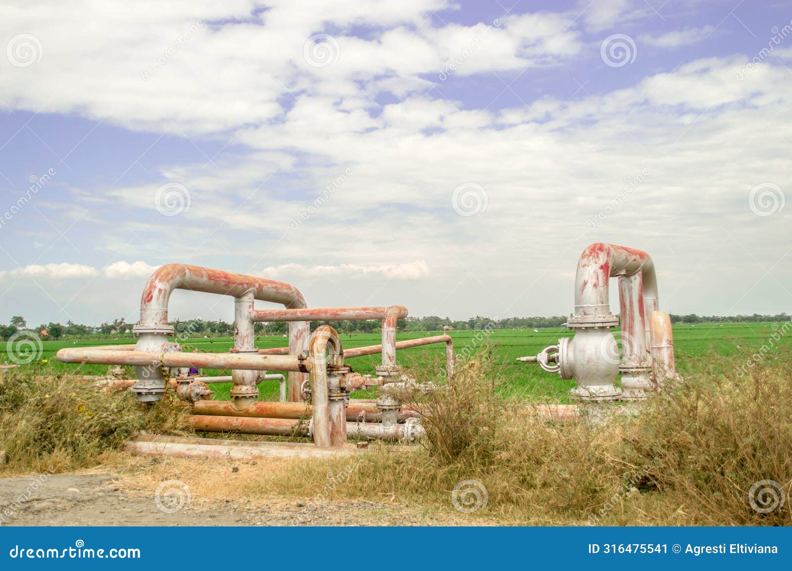 Petroleum Pipelines Installed on the Edge of Rice Fields Stock Image ...