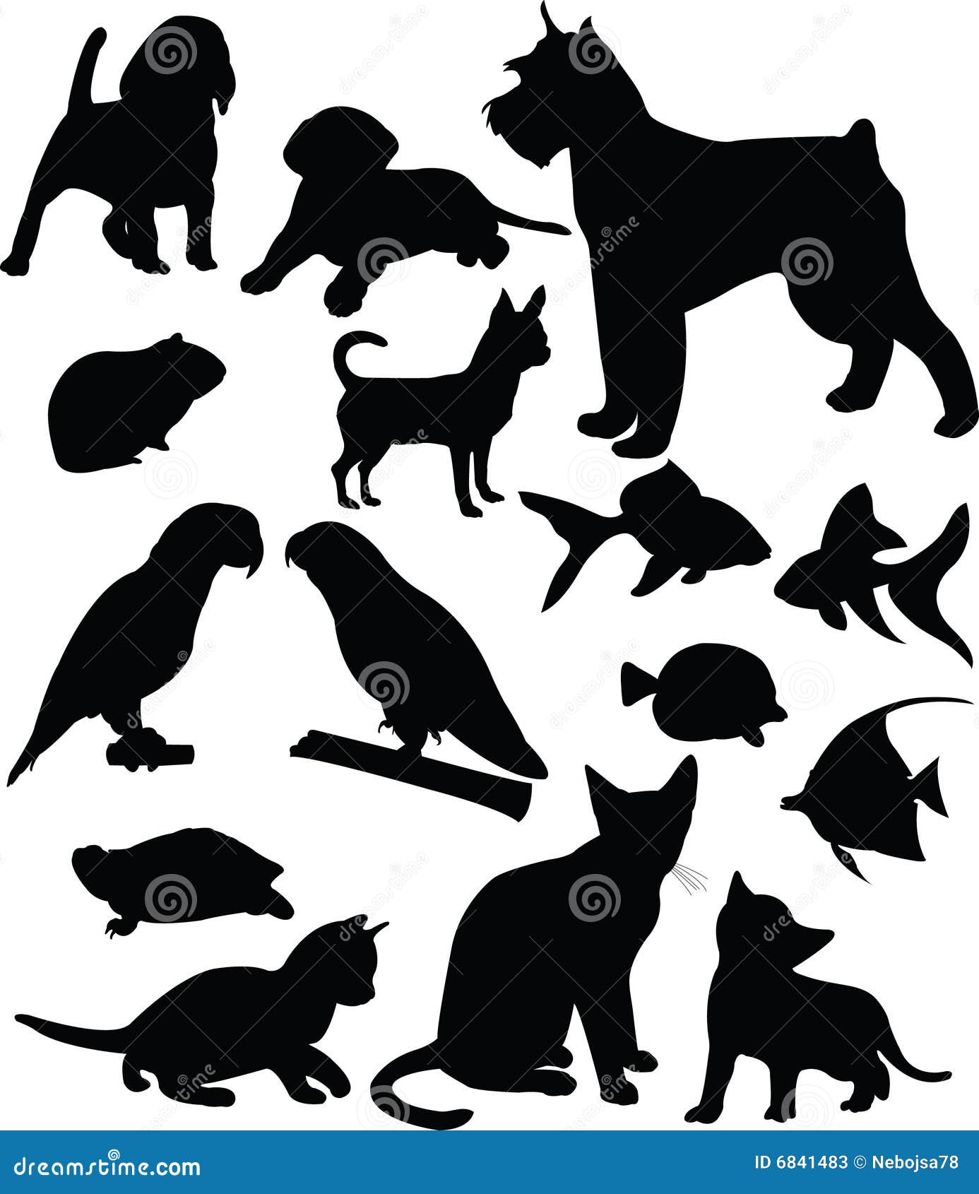 Pets stock vector. Illustration of puppy, vector, bird - 6841483