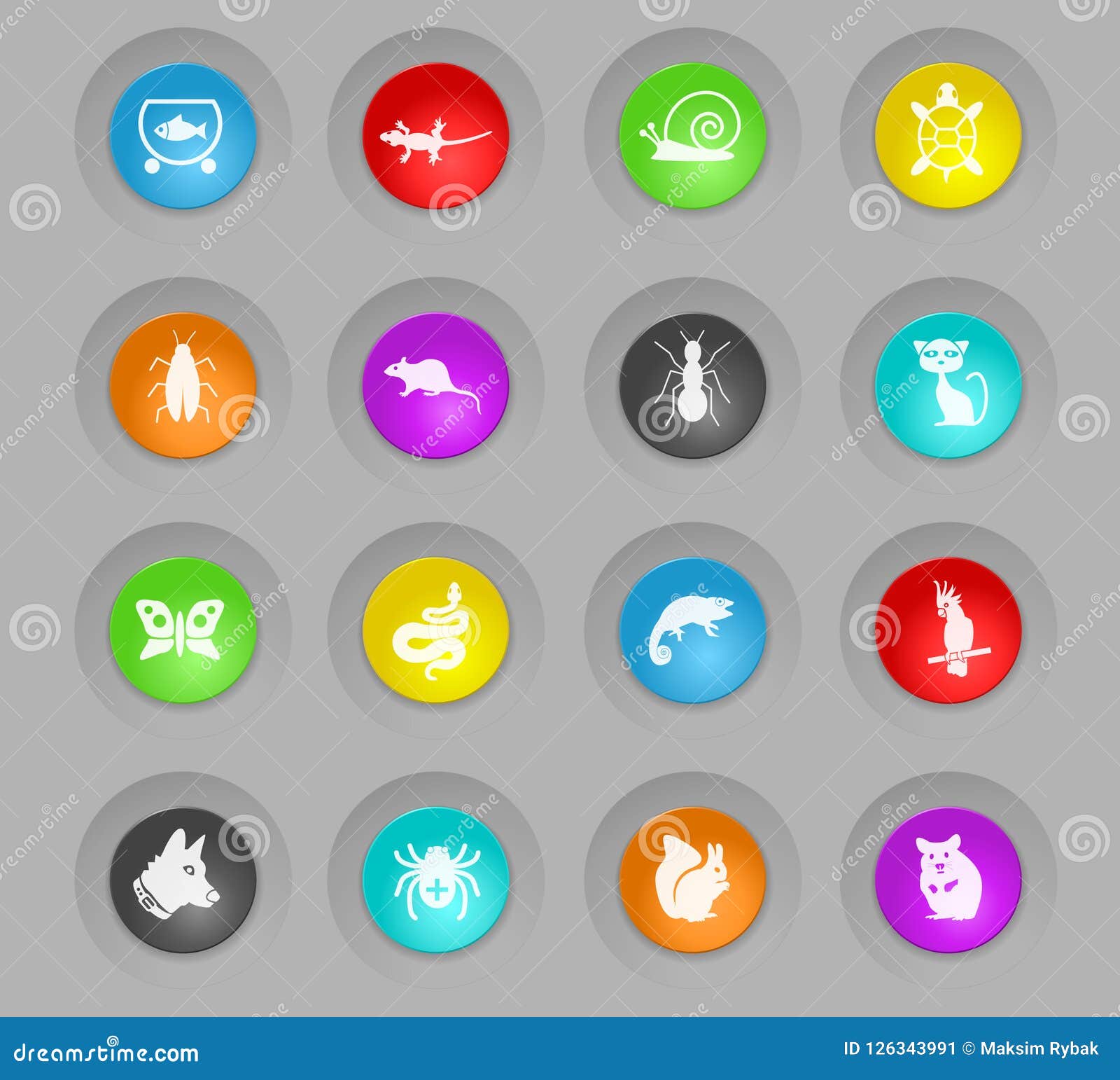 Pets Colored Plastic Round Buttons Icon Set Stock Vector - Illustration ...