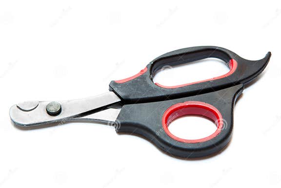 Pets cutter stock photo. Image of healthcare, care, black - 22094656