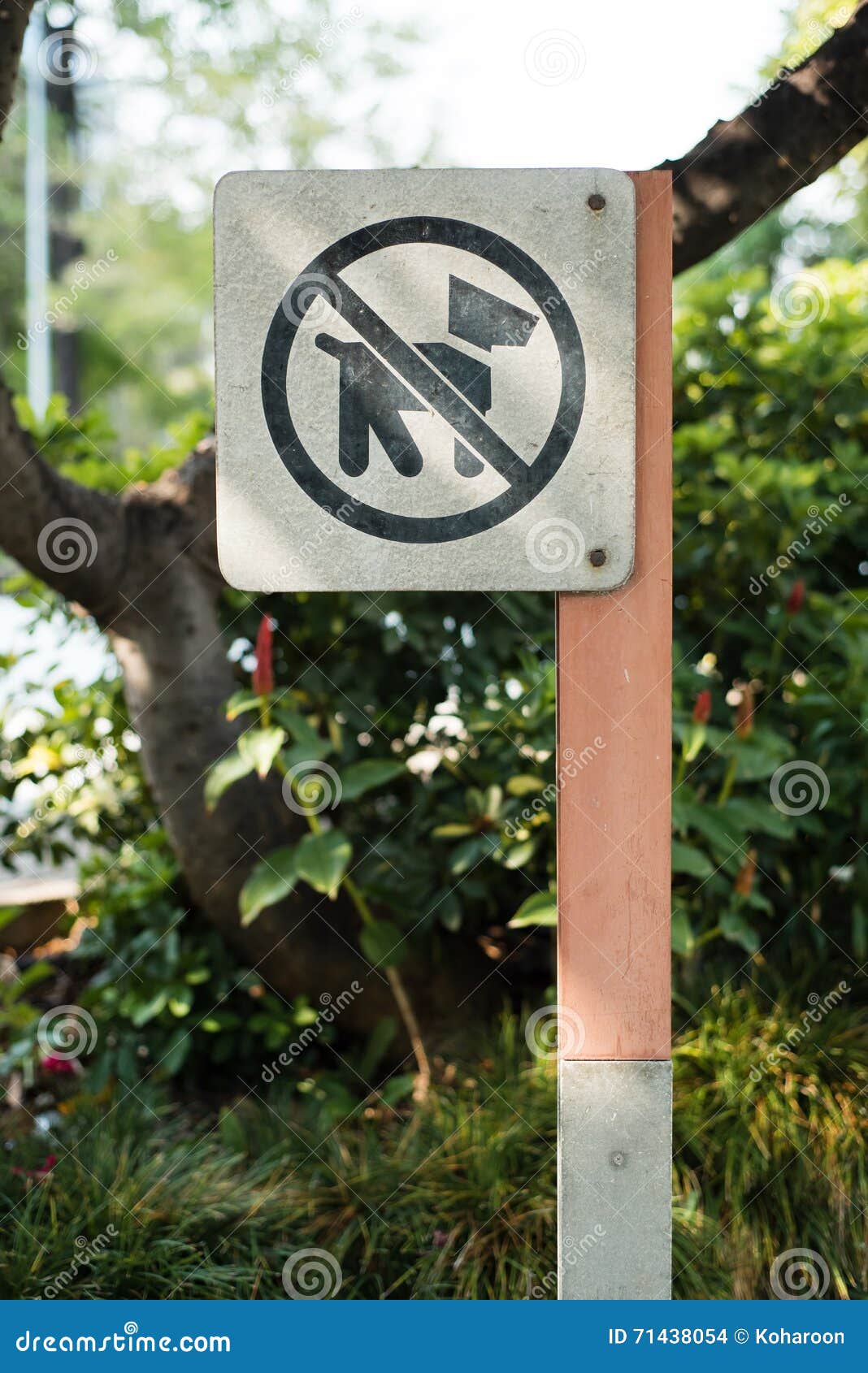 Pets are not allowed sign stock photo. Image of restrict - 71438054