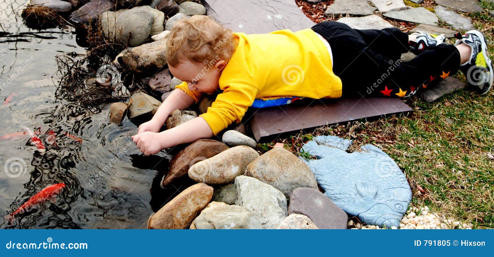 Petting Fish stock image. Image of playing, shore, nature - 791805