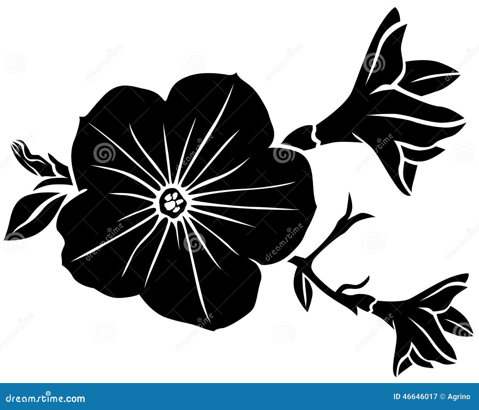 Petunia flower silhouette stock vector. Illustration of decor - 46646017