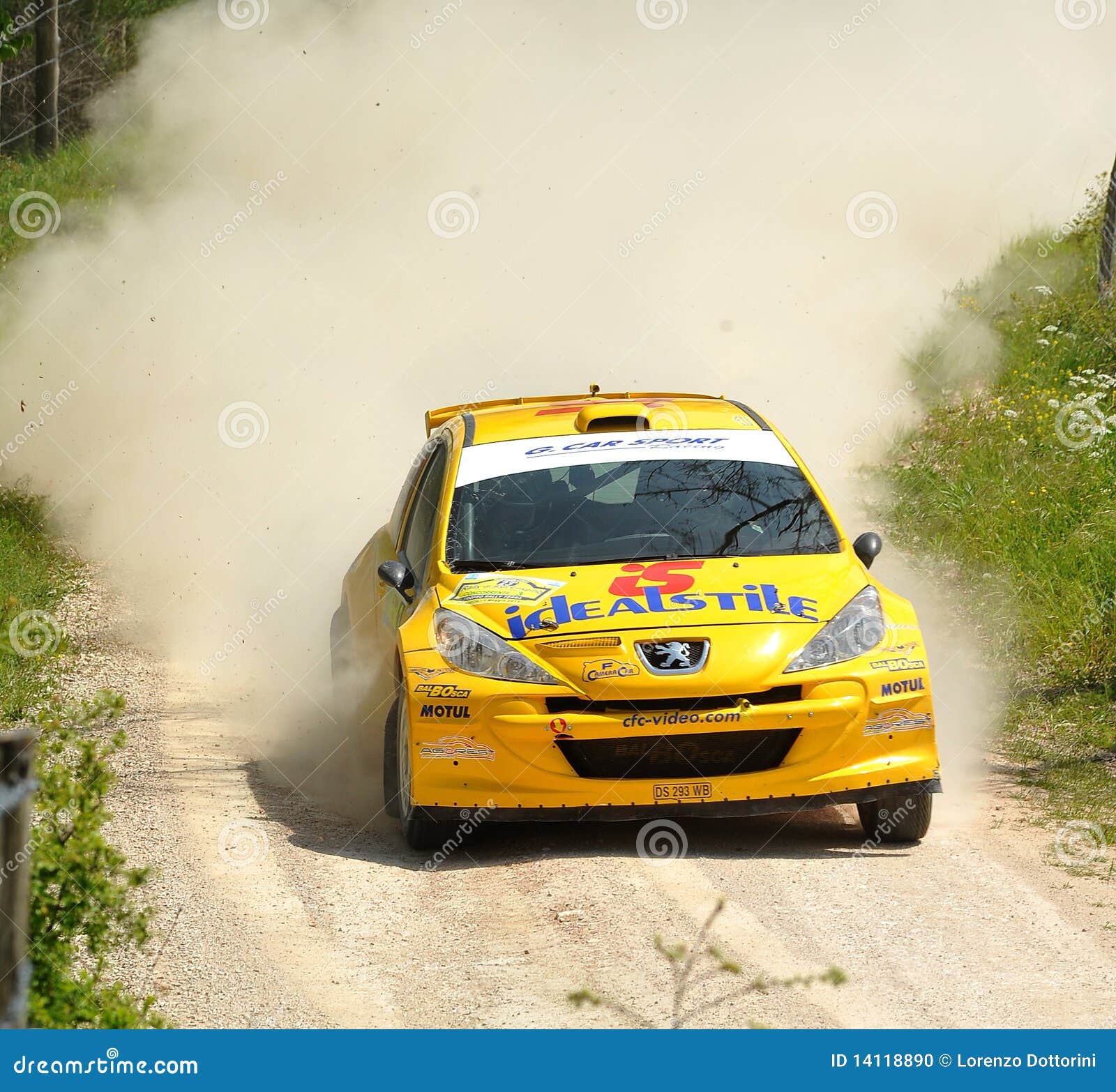Peugeot 207 rally car editorial image. Image of drive - 14118890