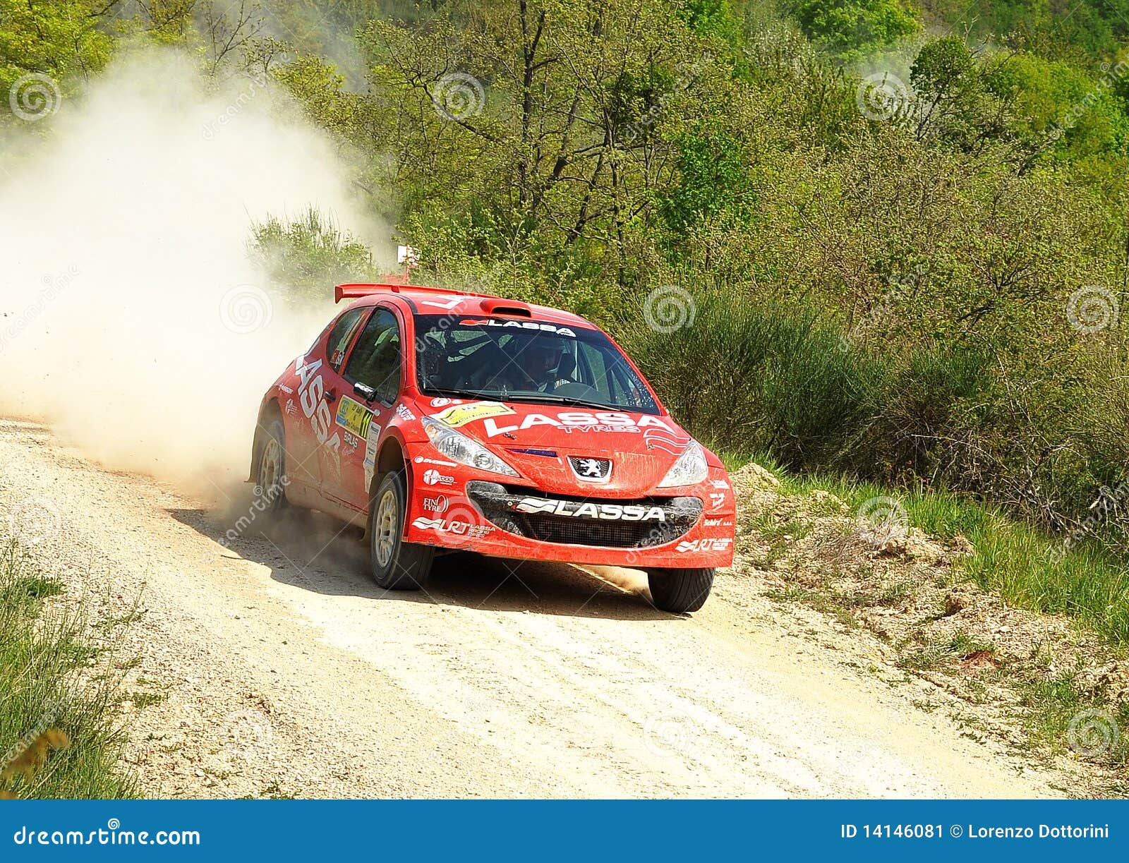 Peugeot 207 rally car editorial photo. Image of stage - 14146081