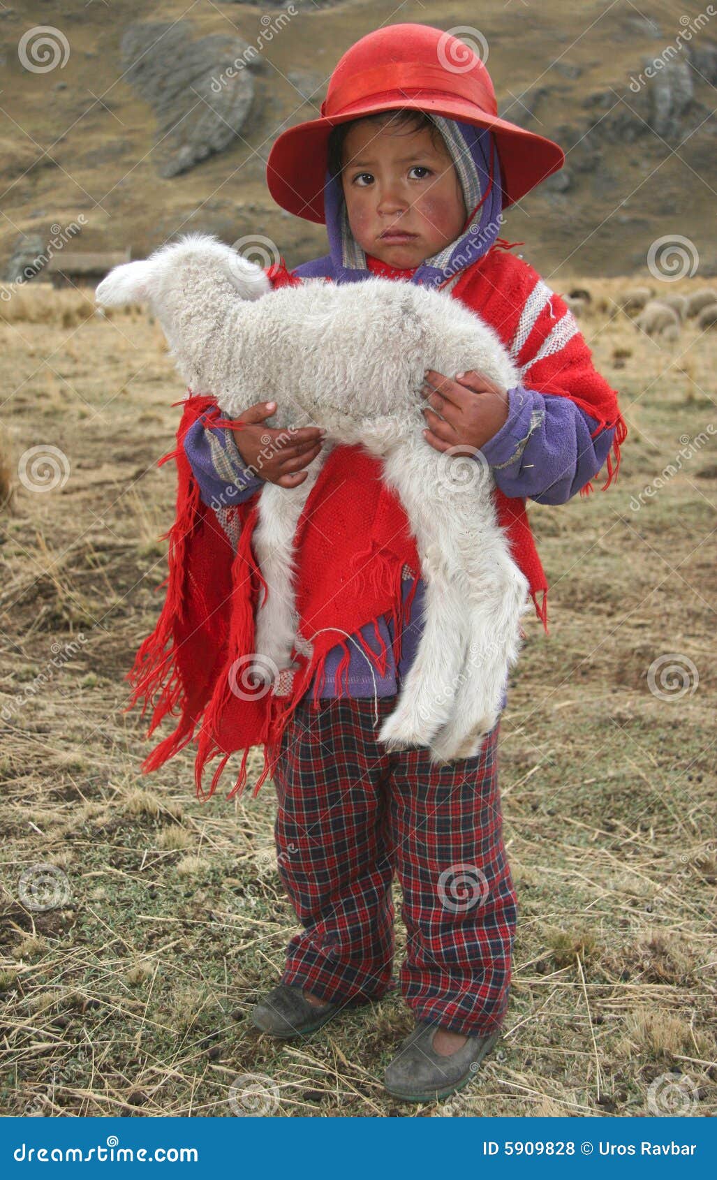Peuple du Pérou photo stock éditorial. Image du capot - 5909828
