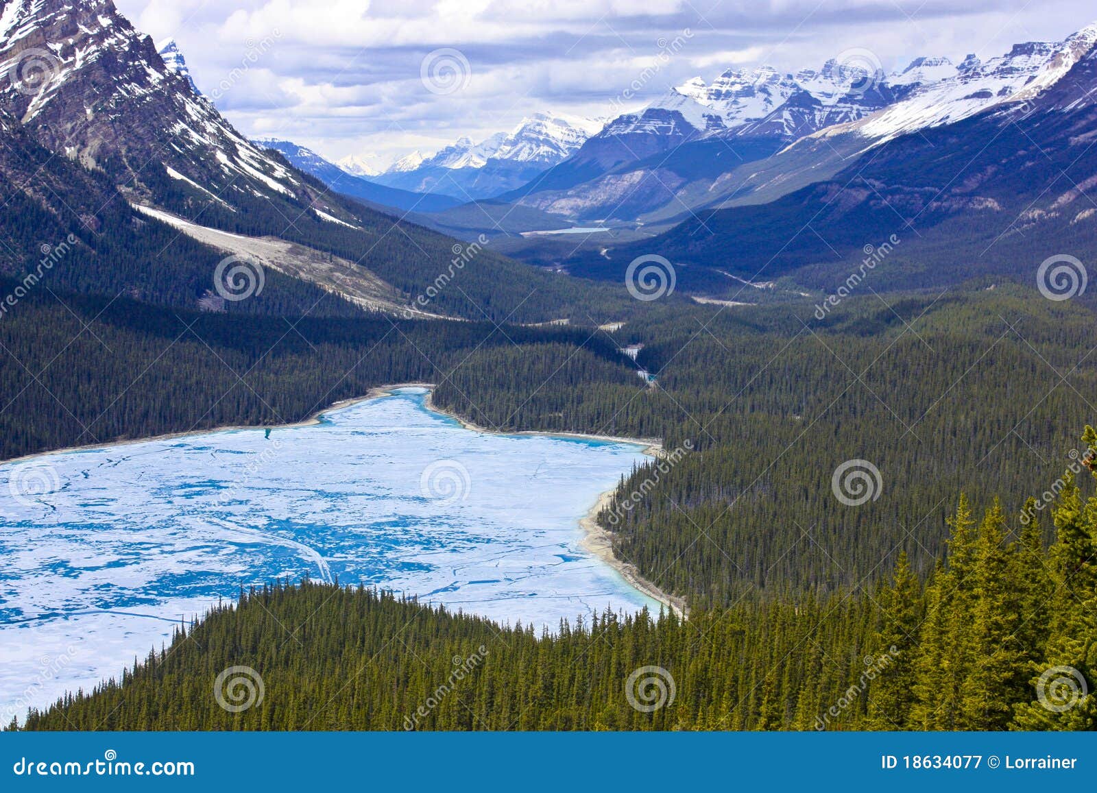 Peyto Lake-Banff stock image. Image of glacier, forest - 18634077