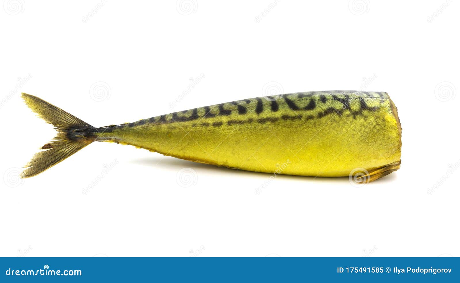 Pez Caballa Ahumado Sobre Fondo Blanco Imagen de archivo - Imagen de ...