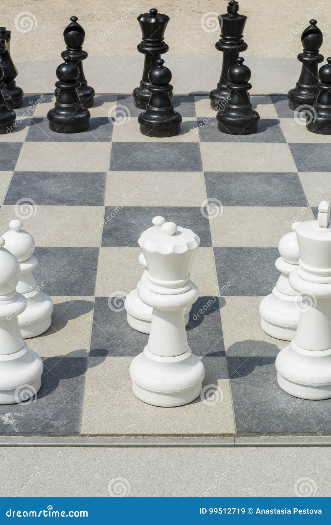 Pezzi Degli Scacchi in Bianco E Nero Sulla Scacchiera Della Via ...