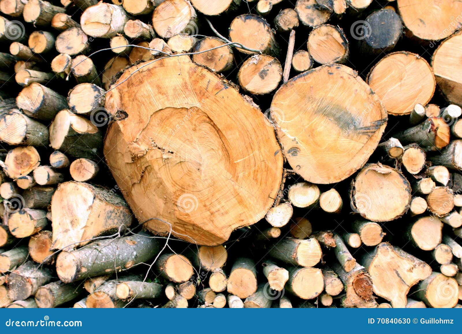 Pezzi di legno del tronco fotografia stock. Immagine di sega - 70840630