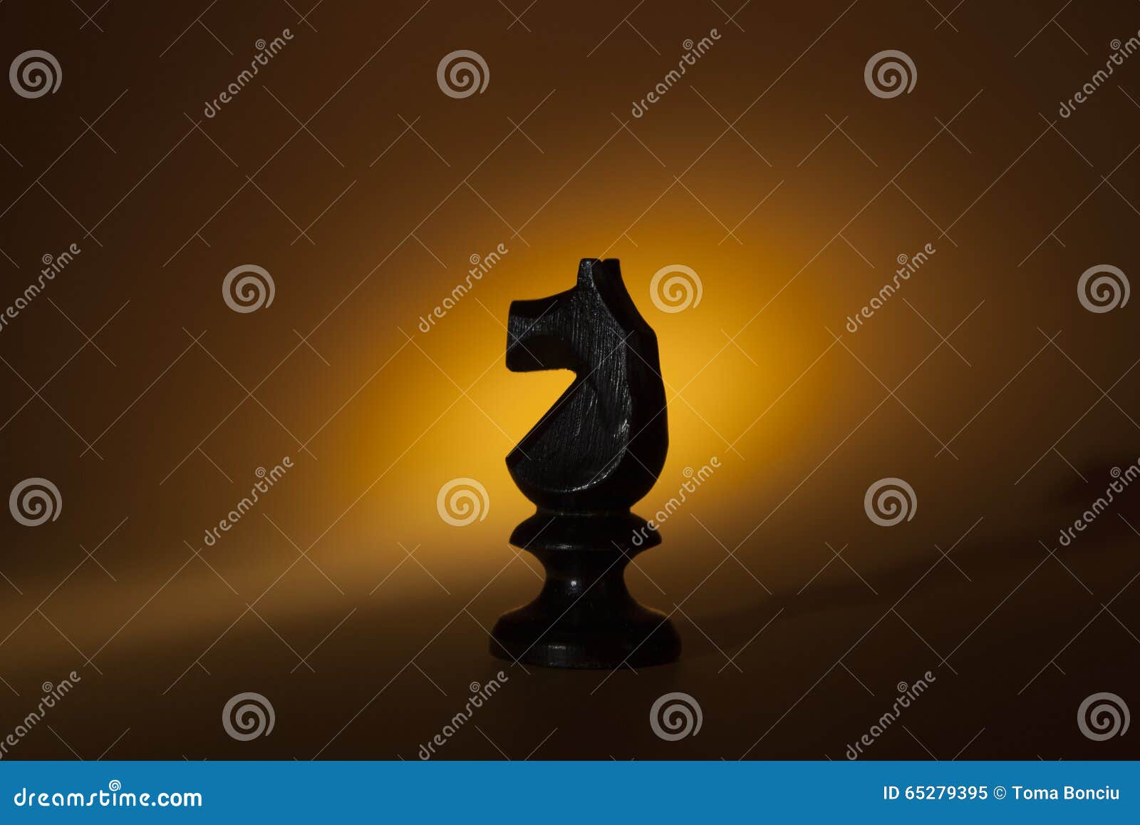 Pezzo Degli Scacchi: Il Cavallo Immagine Stock - Immagine di gruppo ...