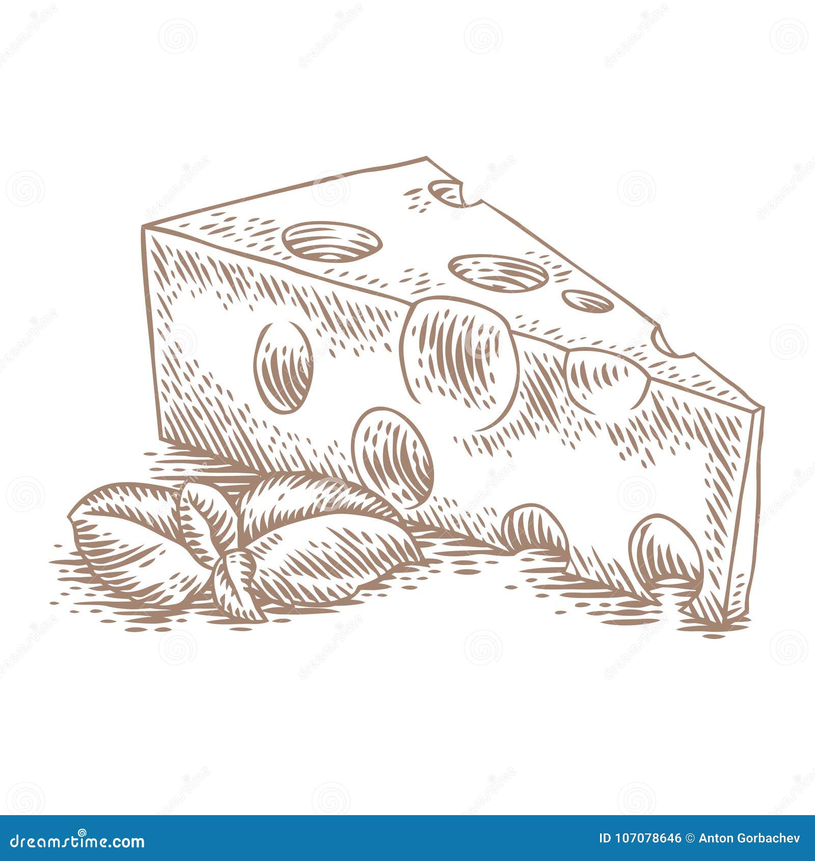 Pezzo Di Formaggio Con Basilico Illustrazione Vettoriale ...