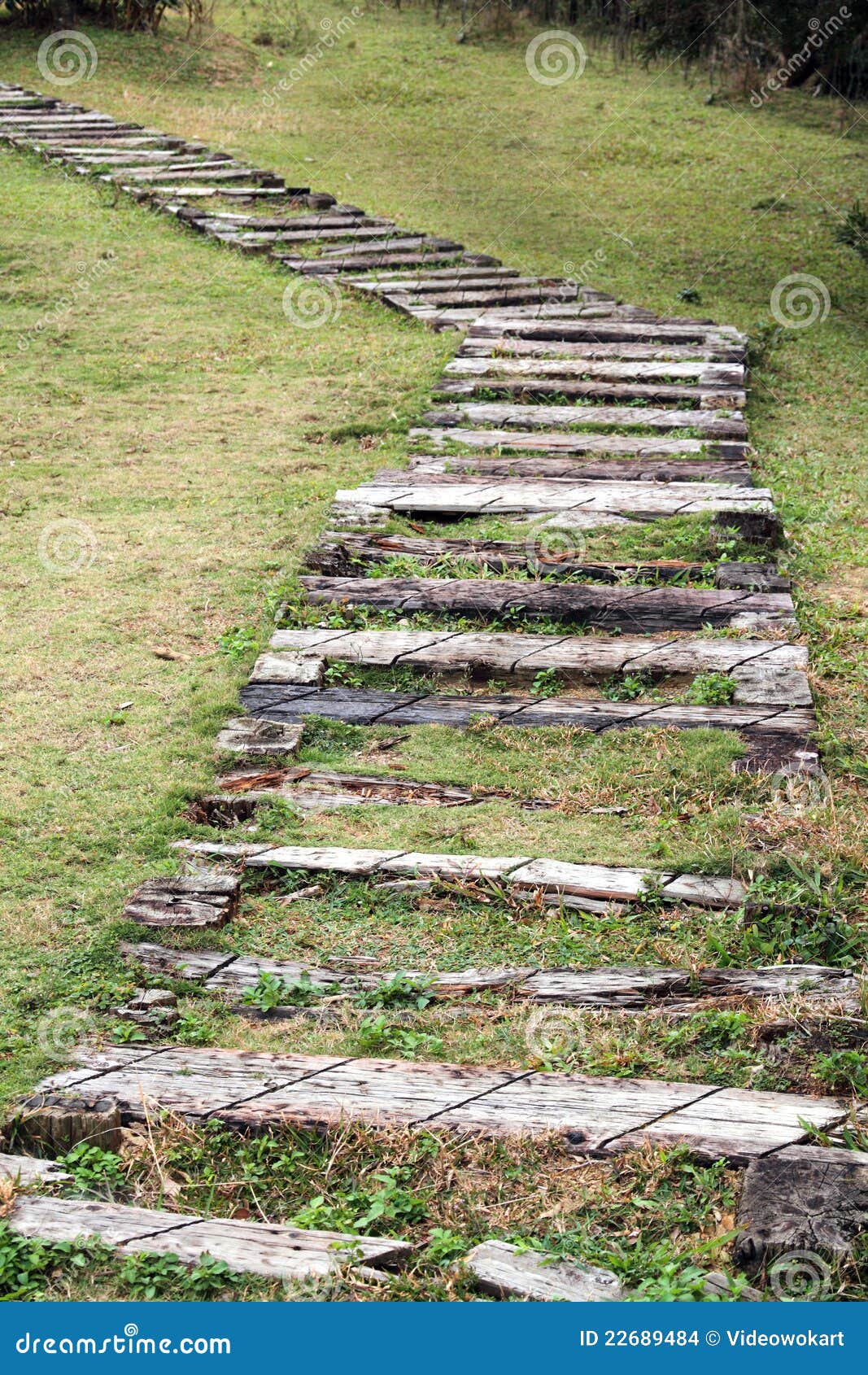 Pfad stockfoto. Bild von verlassen, gefahr, draussen - 22689484