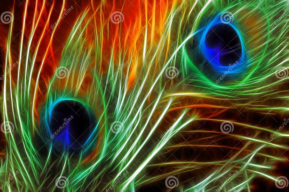 Pfaufedern stock abbildung. Illustration von tier, reise - 24050765