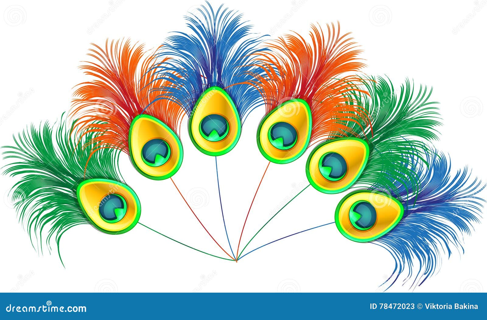 Pfaufedern Auf Weißem Hintergrund Vektor Abbildung - Illustration von ...
