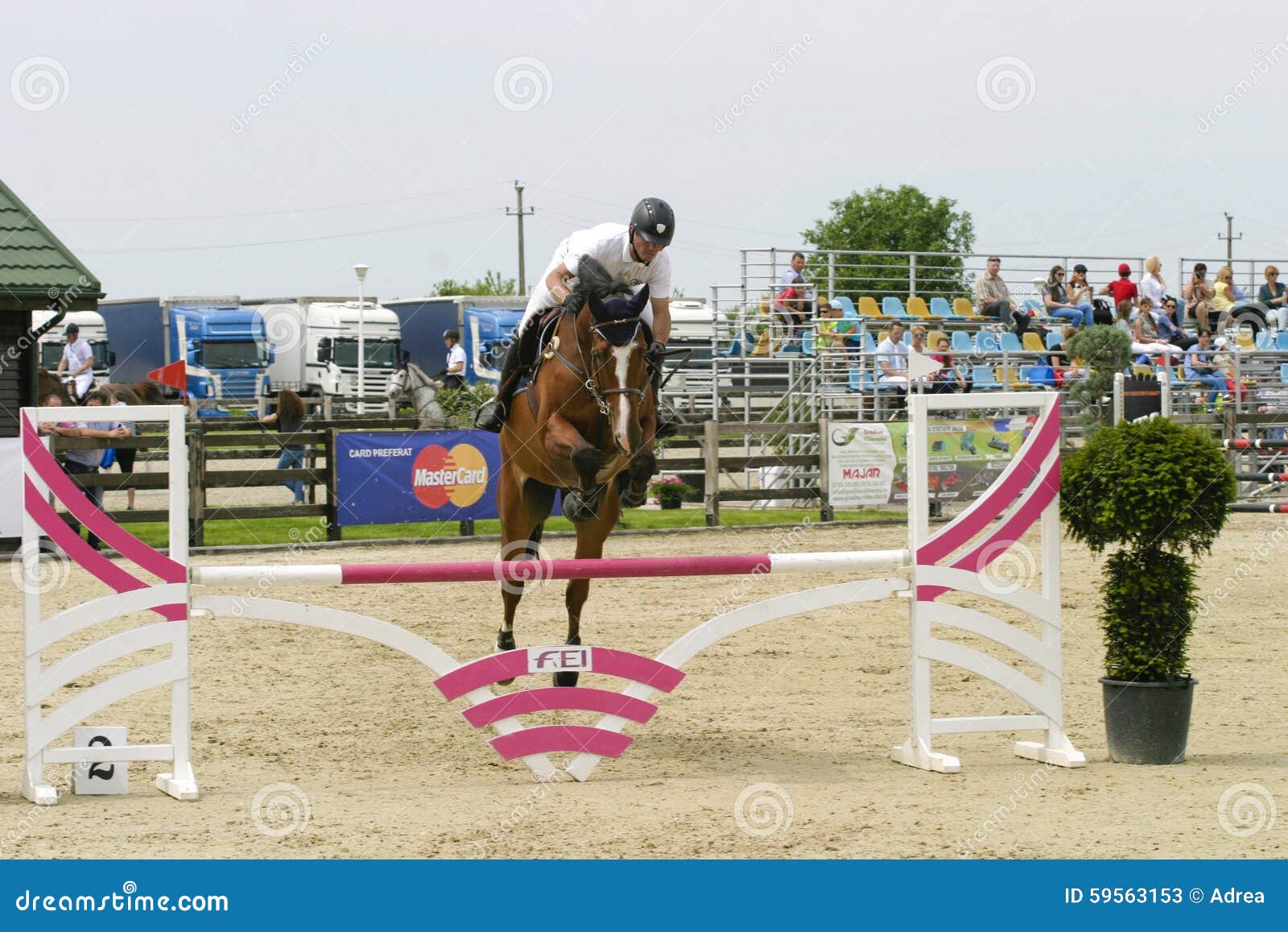 Pferd springen redaktionelles stockfoto. Bild von draussen - 59563153