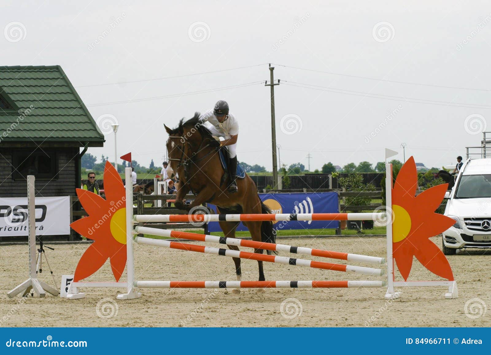 Pferd springen redaktionelles foto. Bild von springen - 84966711