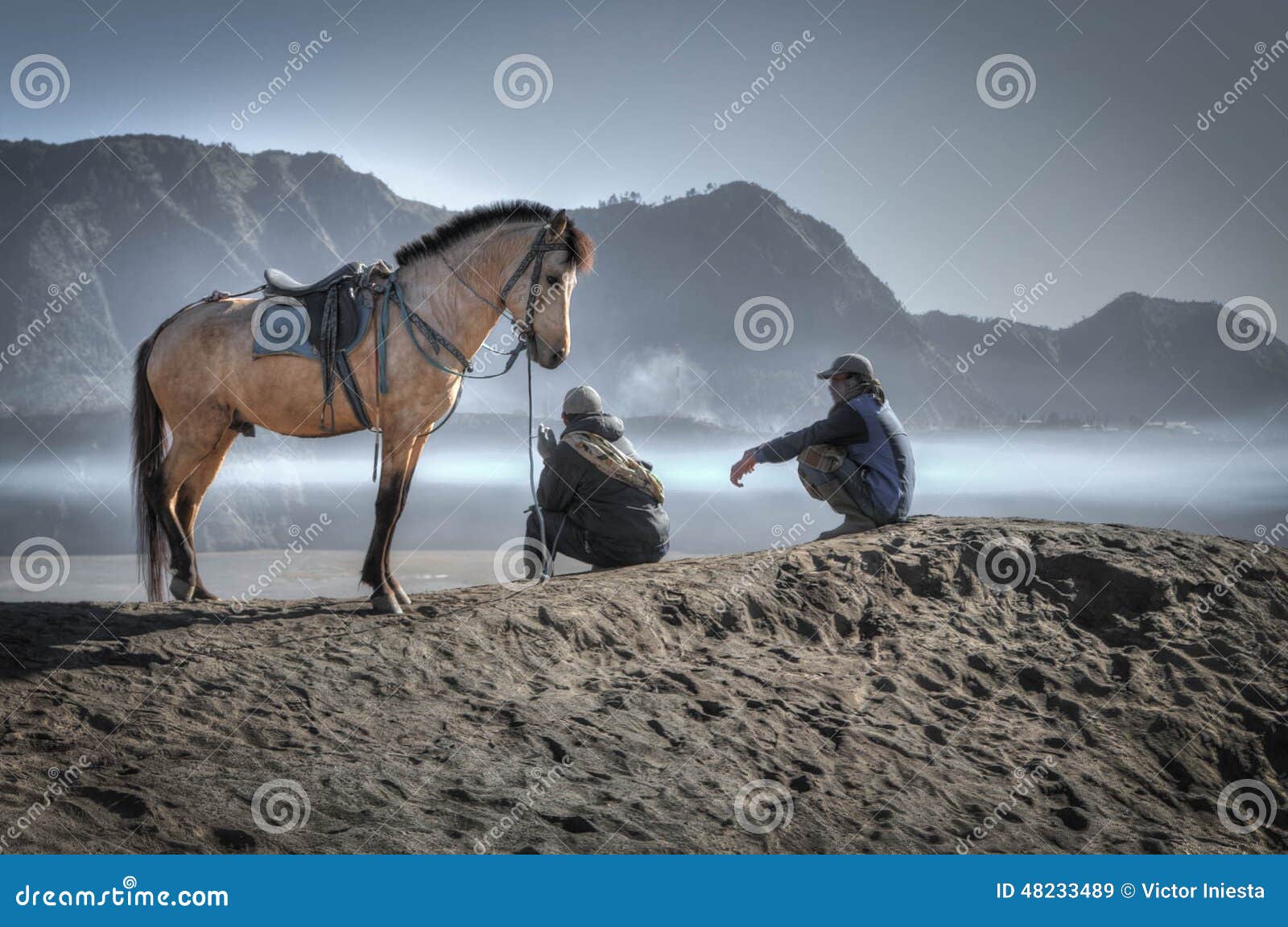 Pferd von der Asche stockbild. Bild von indonesien, asche - 48233489
