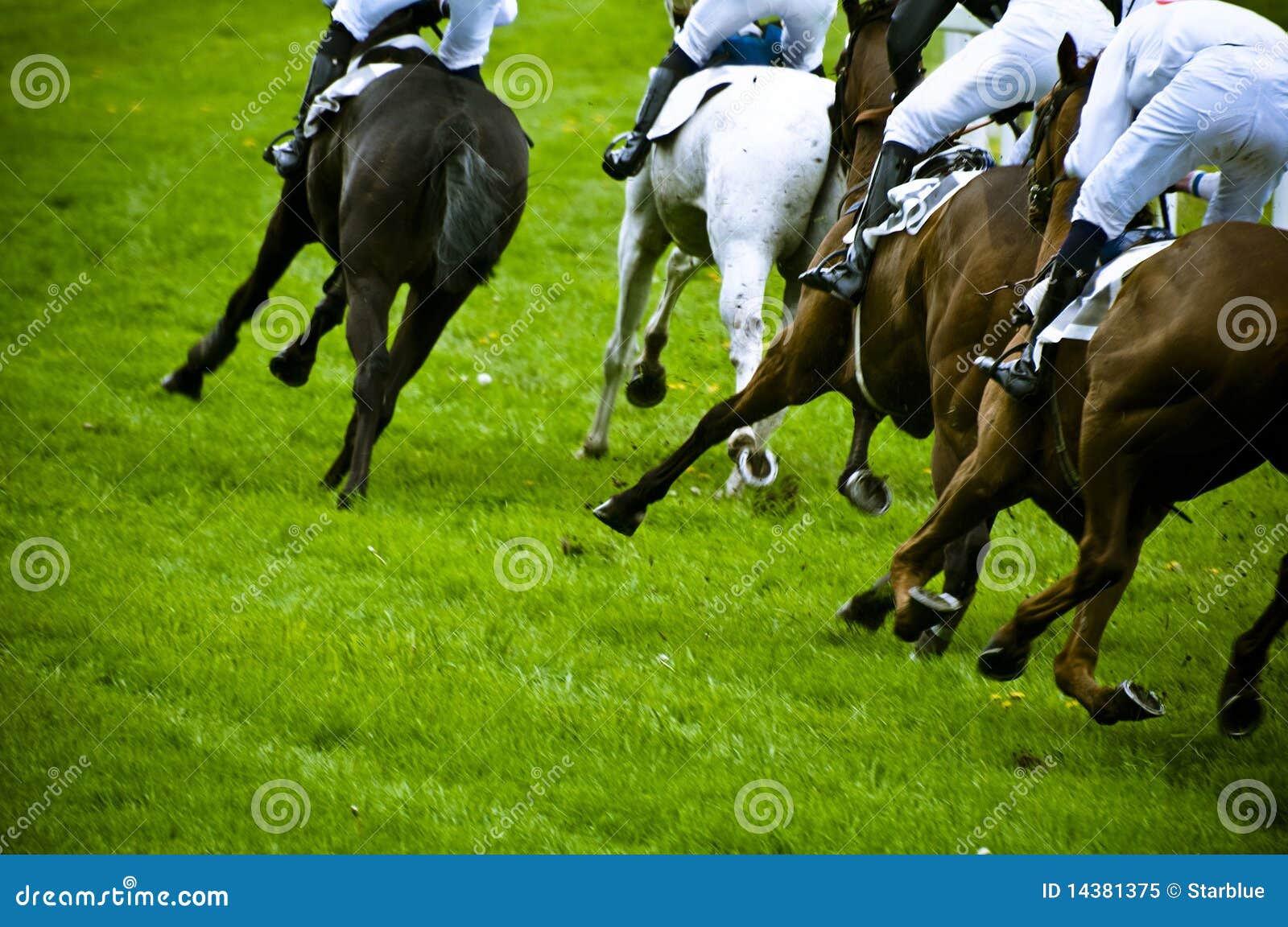 Pferdenrennen stockbild. Bild von reiten, exemplar, mitfahrer - 14381375