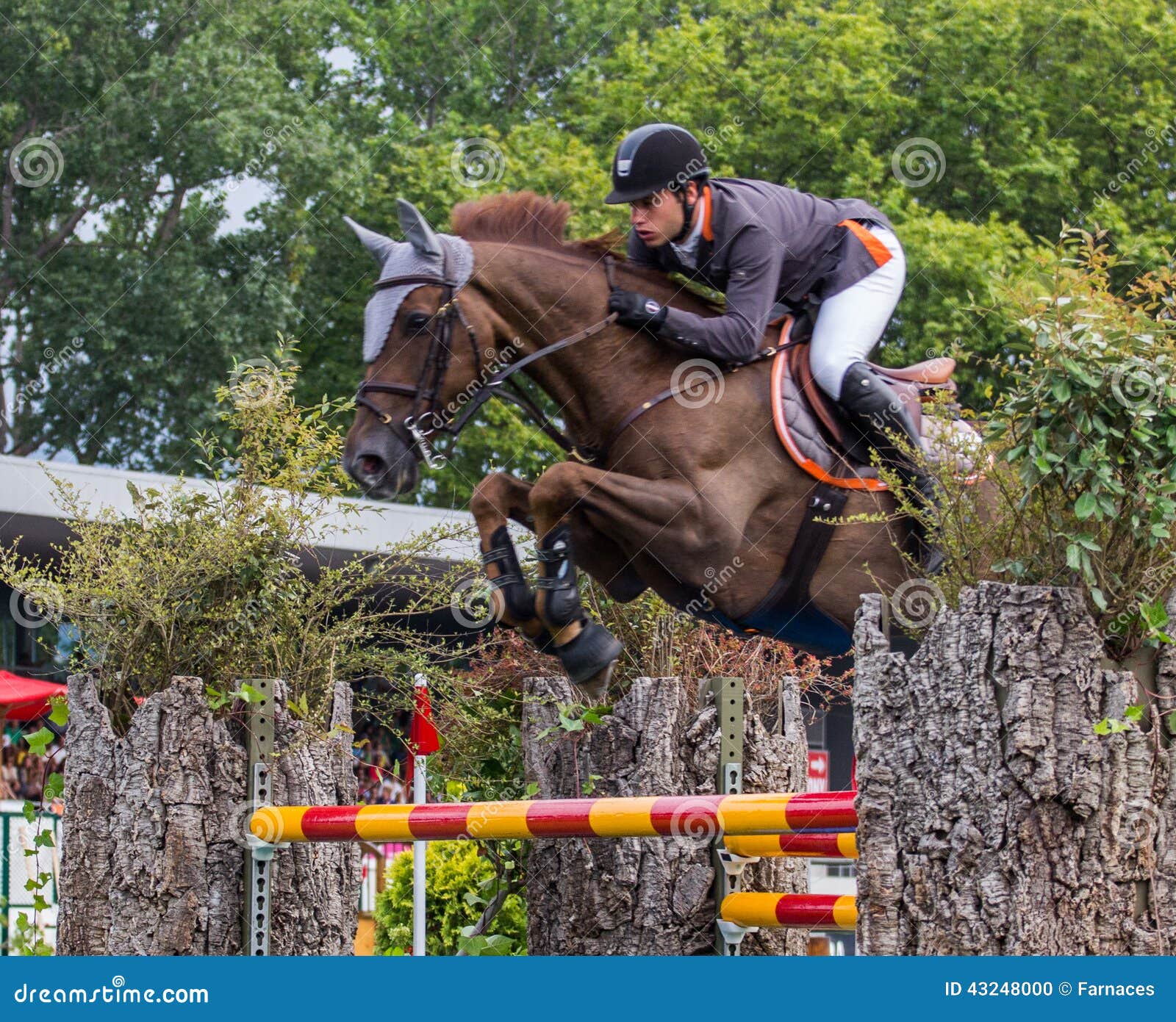 Pferdespringender Wettbewerb Redaktionelles Bild - Bild von hürde ...