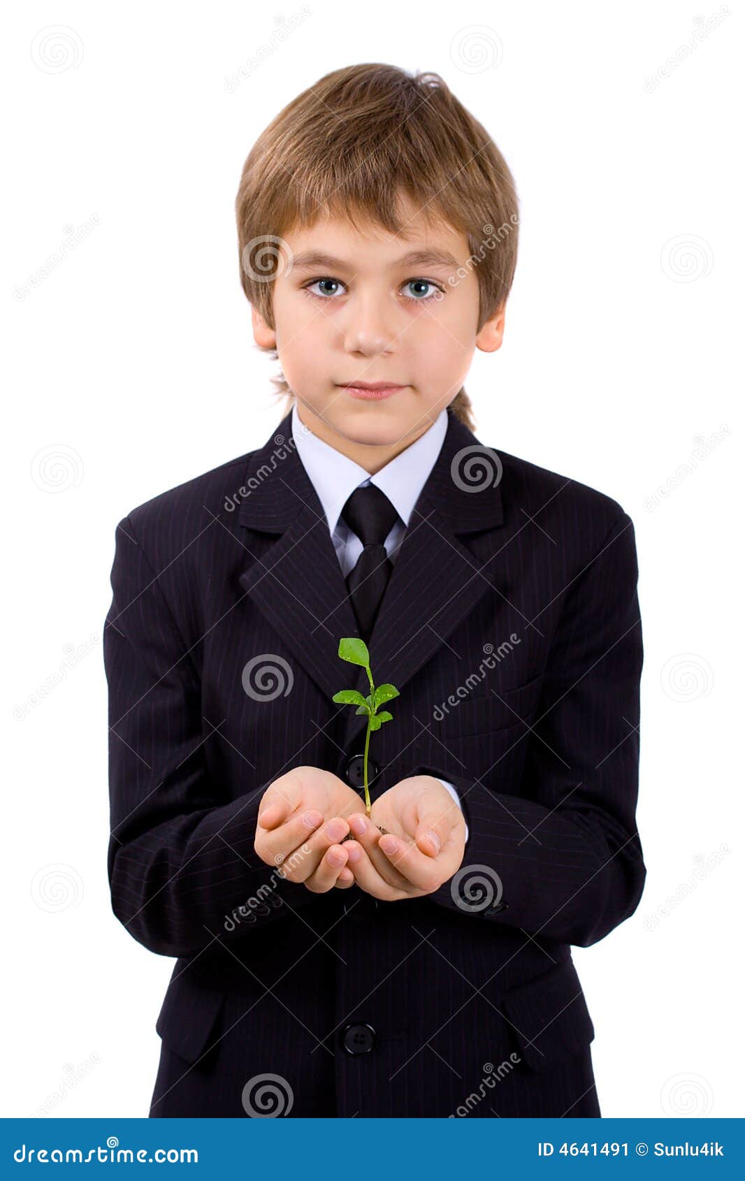 Pflanzen Sie in Den Palmen Der Kinder Stockbild - Bild von schönheit ...