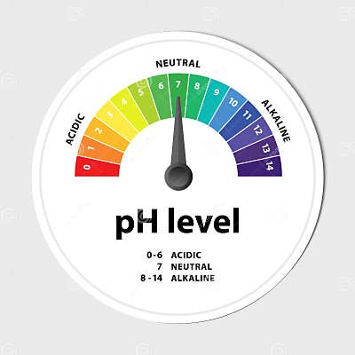 Ph Level Scale Chart Indicator Diagram Value. Stock Vector ...