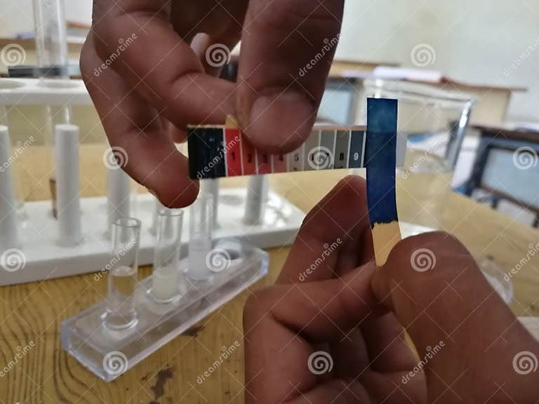 Ph Paper in Science Laboratory Indicates Acid and Bases Stock Photo ...