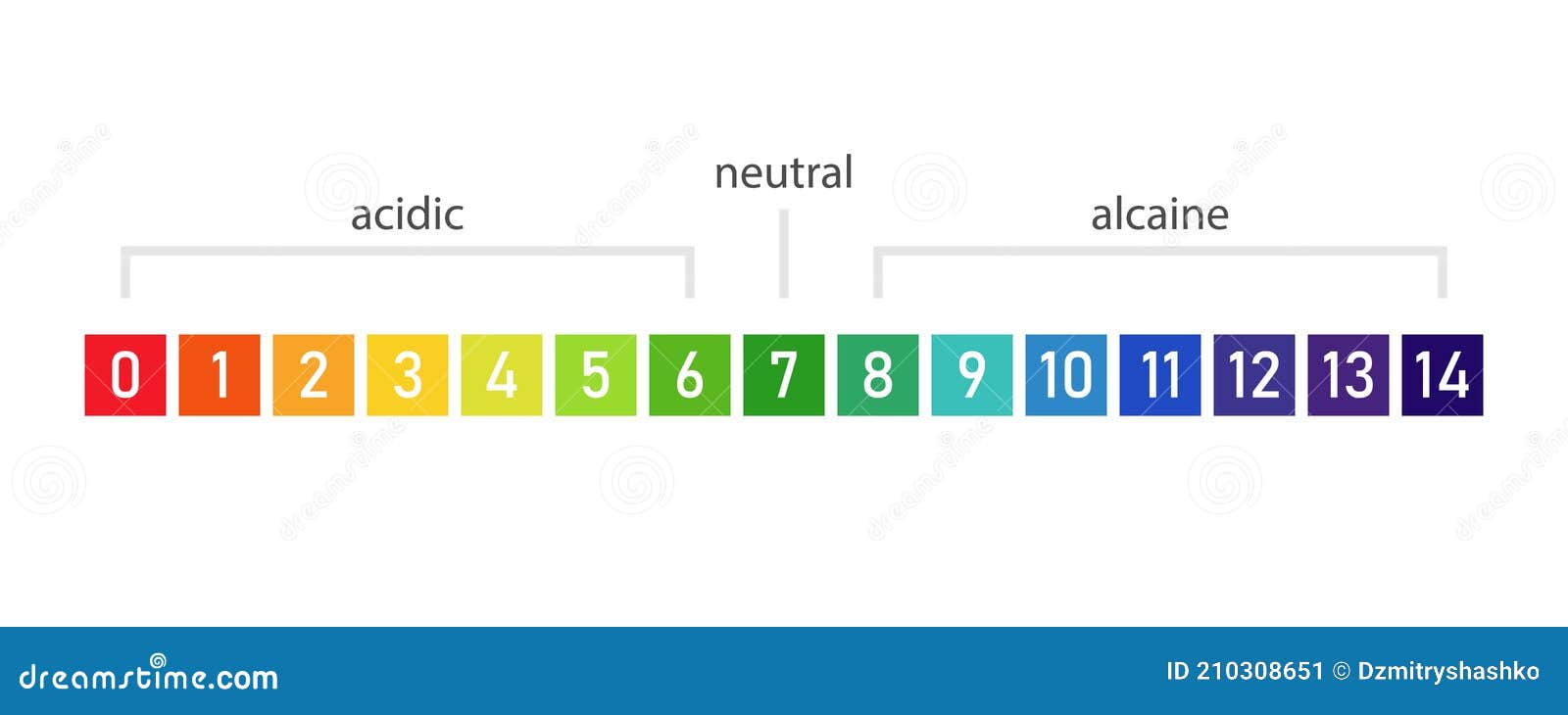 PH Scale Chart. Clipart Image Cartoon Vector | CartoonDealer.com #210308651