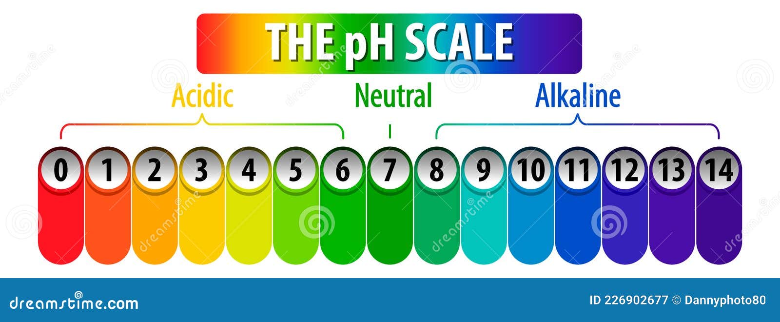 The PH Scale Diagram on White Background Stock Vector - Illustration of ...