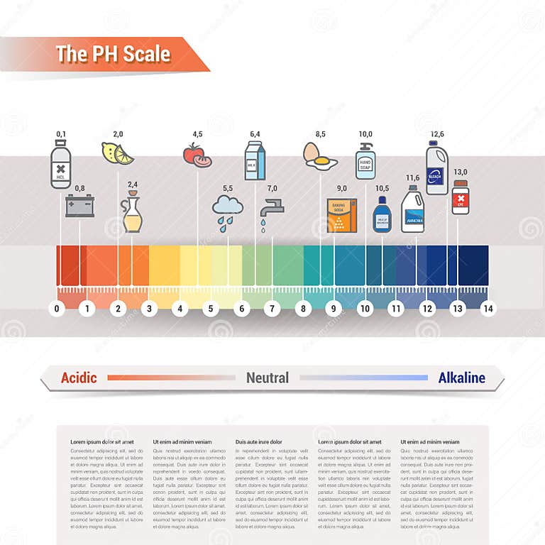 The PH scale stock vector. Illustration of cosmetics - 42798746