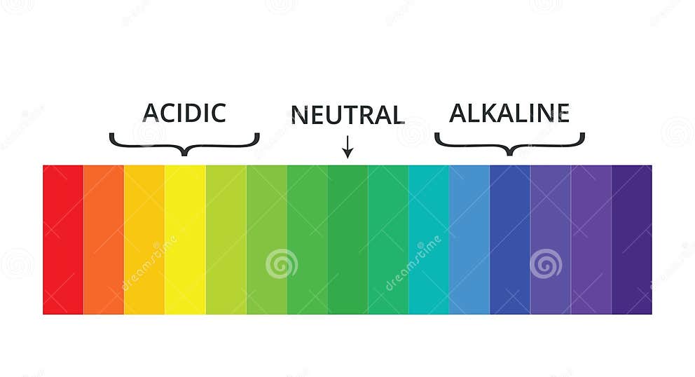 Ph Scale with Labels and Spectrum Indicators. Stock Vector ...