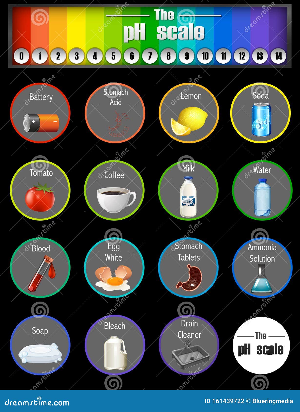 Acids, Neutral And Bases Substances Scale With Examples Outline Diagram ...
