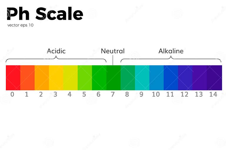 The pH scale stock vector. Illustration of color, balance - 100982841