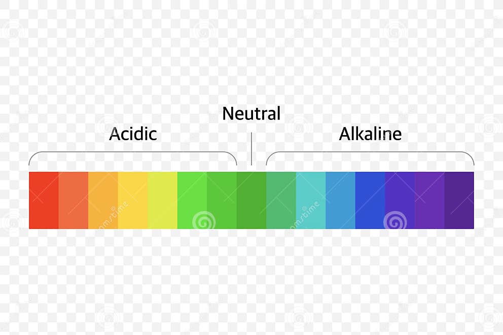 The Ph Scale Universal Indicator Ph Color Chart Diagram. Vector ...