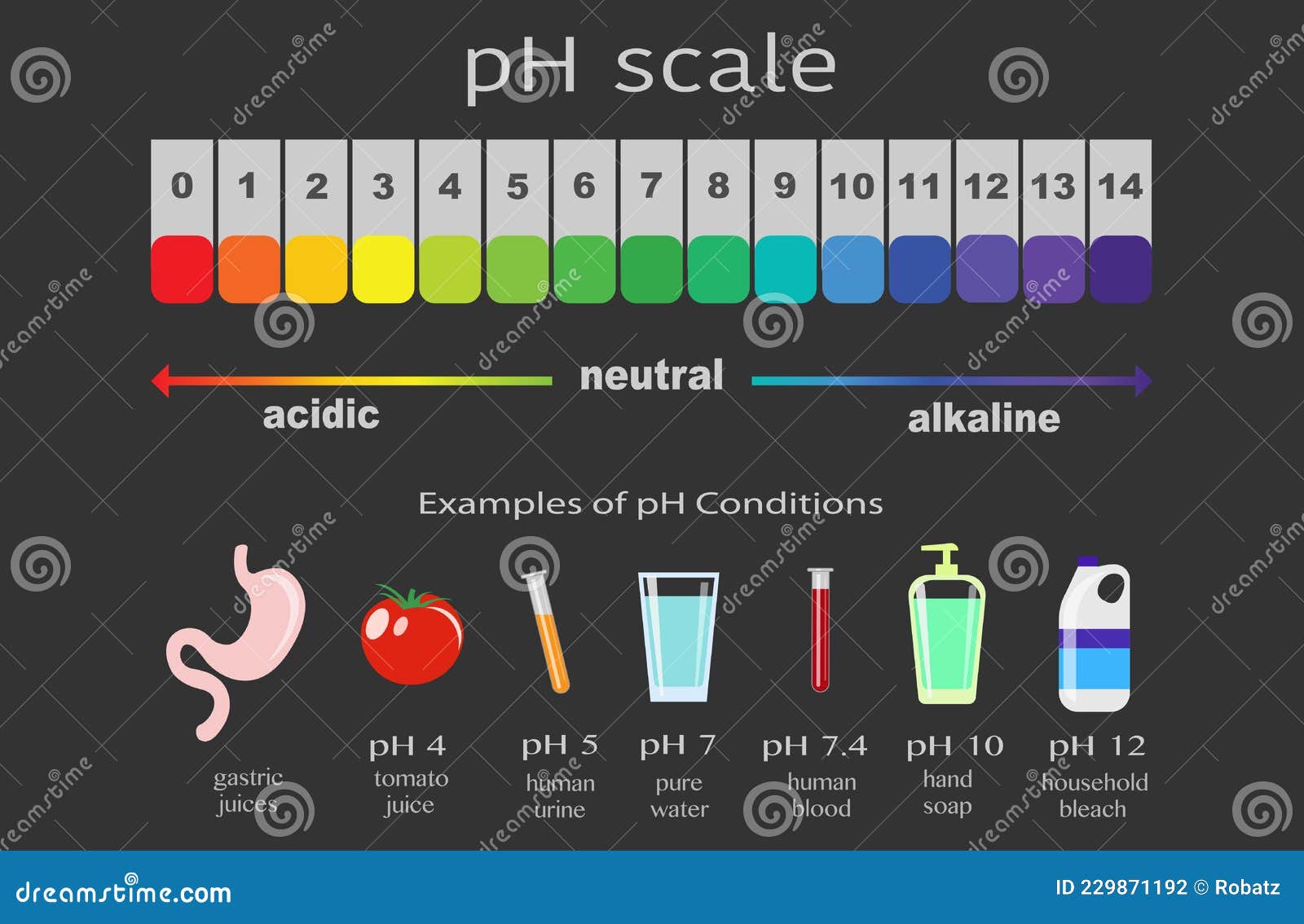 Ph Examples Of Acids And Bases Ph Examples Of Acids And Bases