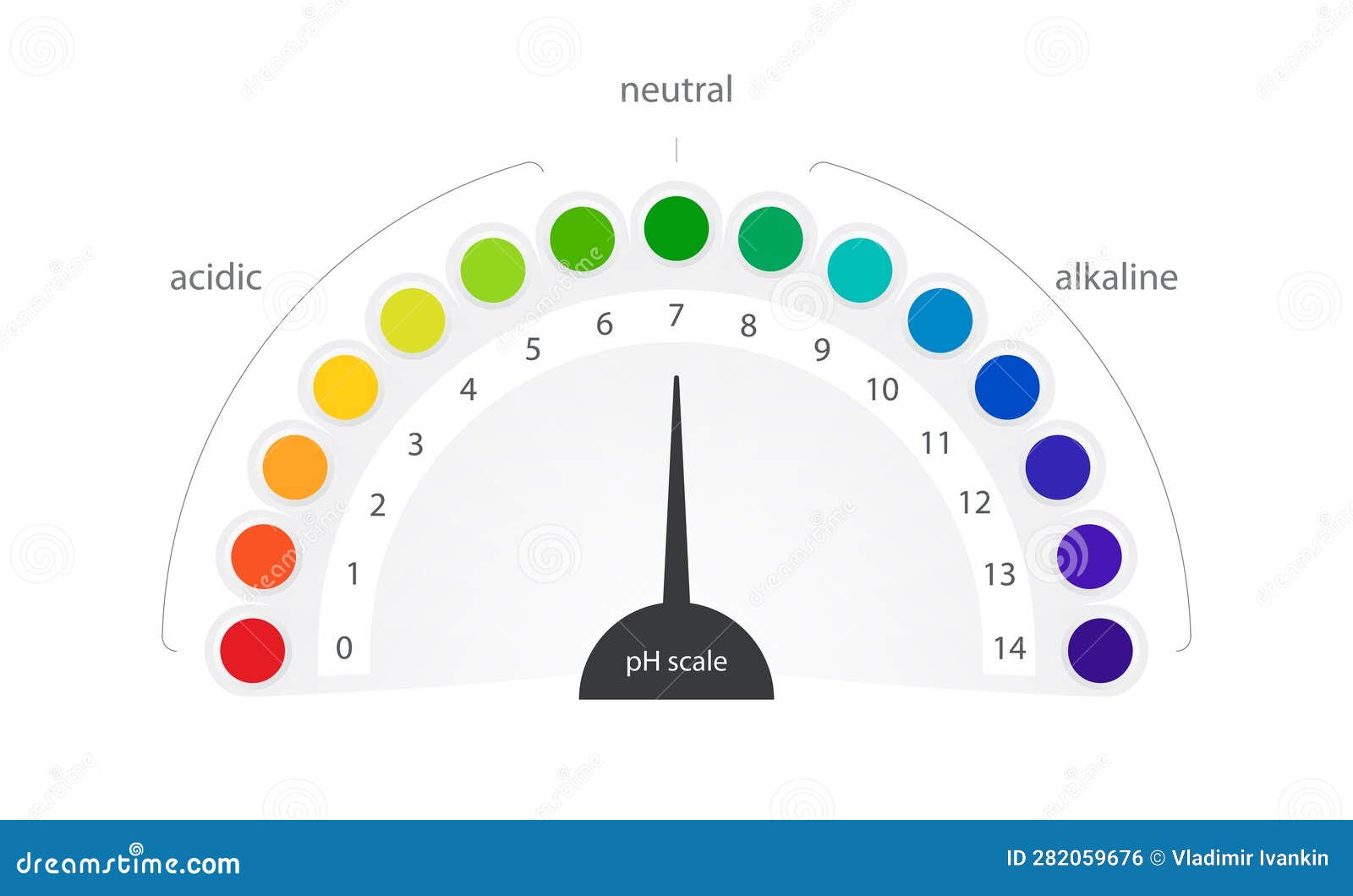 PH Scale Vector Indicator Chart Diagram Acidic Alkaline Measure Stock ...