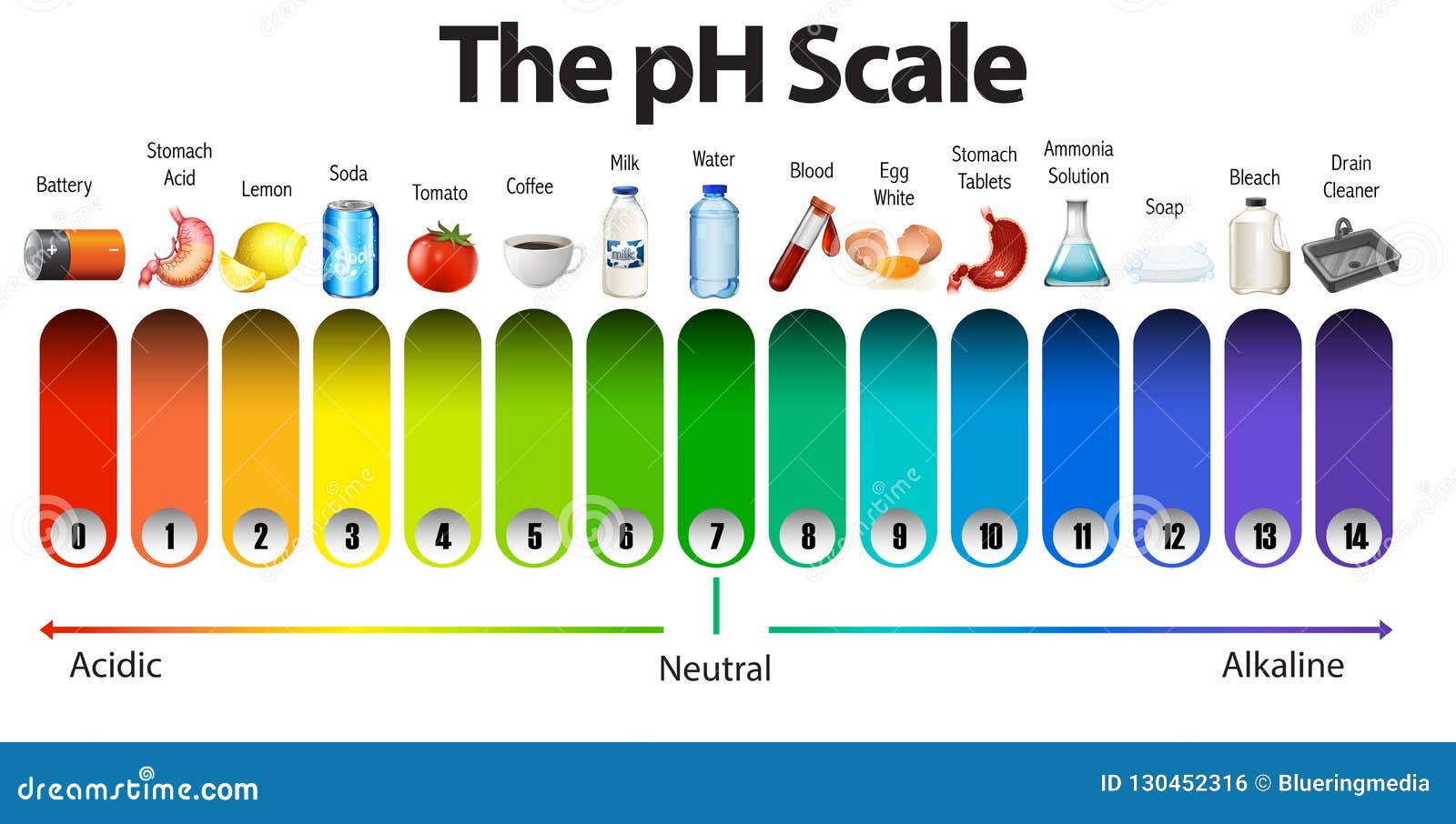 A PH Scale on White Background Stock Vector - Illustration of chemical ...