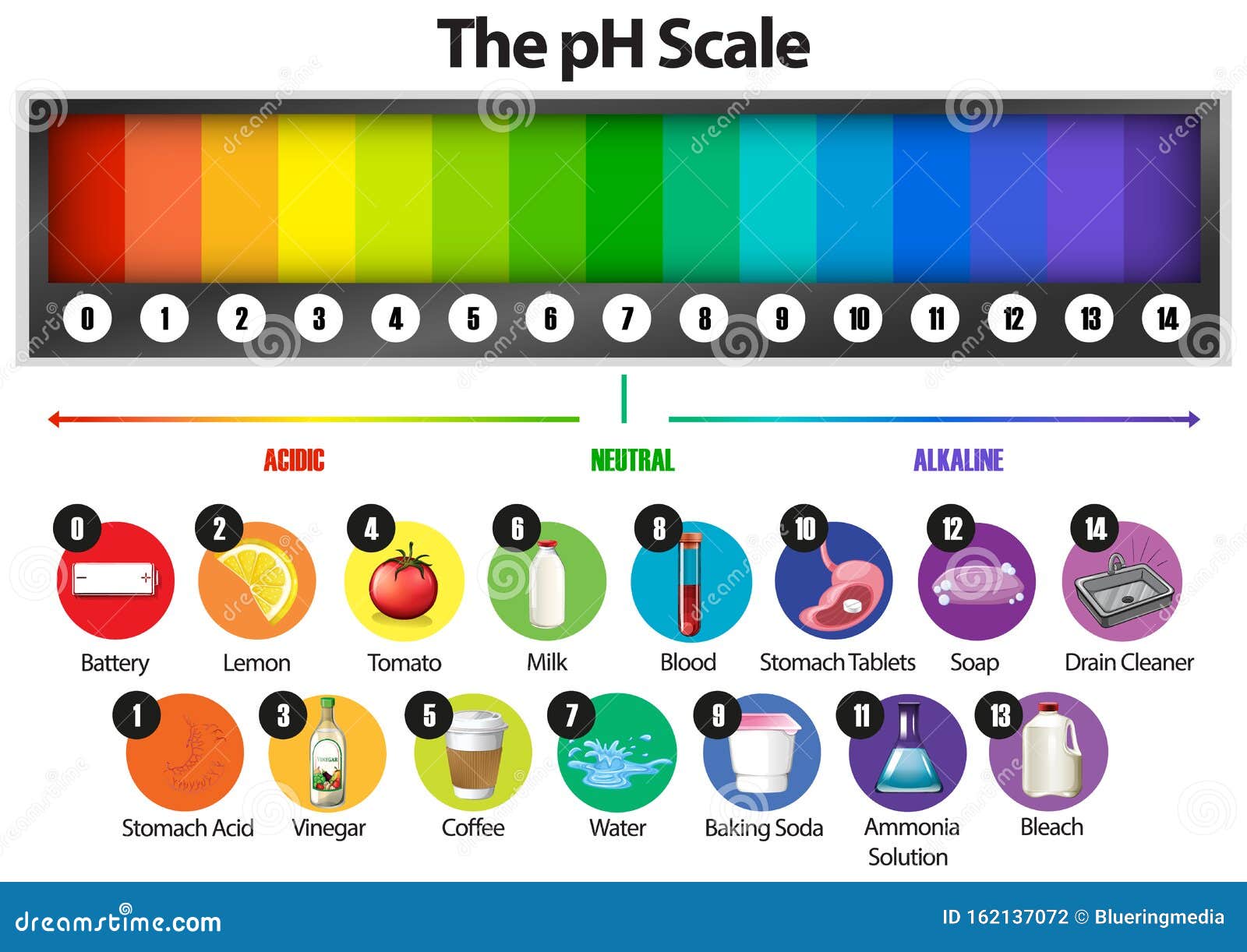 Ph Scale - Acids And Alkalines Examples Stock Photo | CartoonDealer.com ...