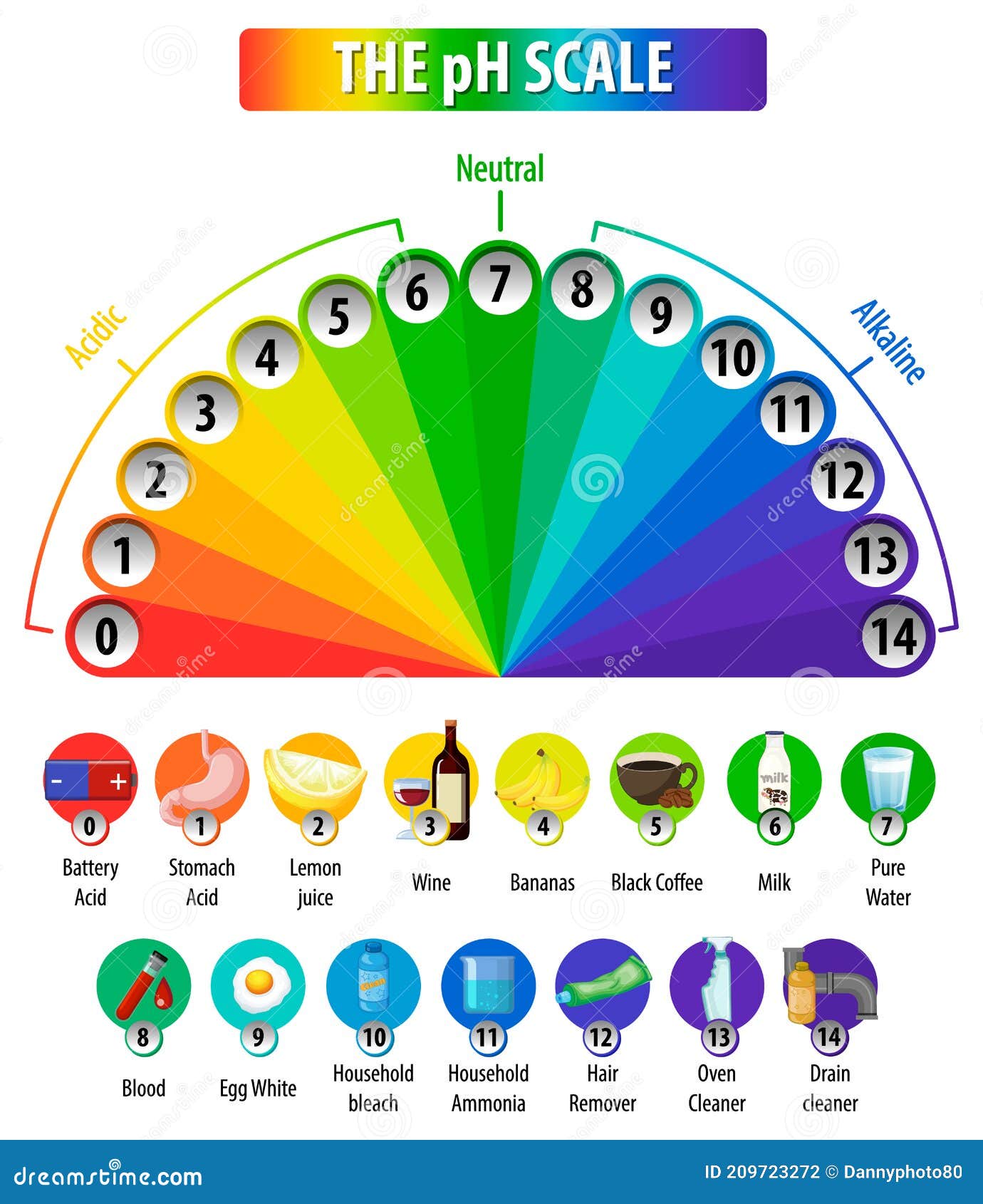 Ph Scale - Acids And Alkalines Examples Stock Photo | CartoonDealer.com ...