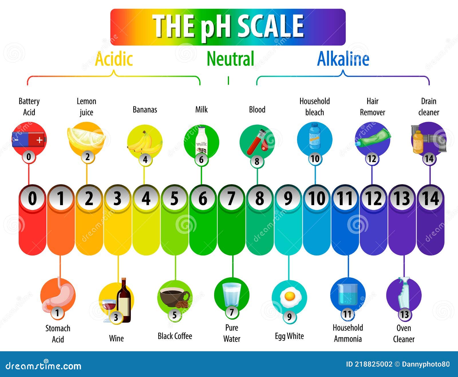 Acids Bases And Salts Infographic Diagram Cartoon Vector ...