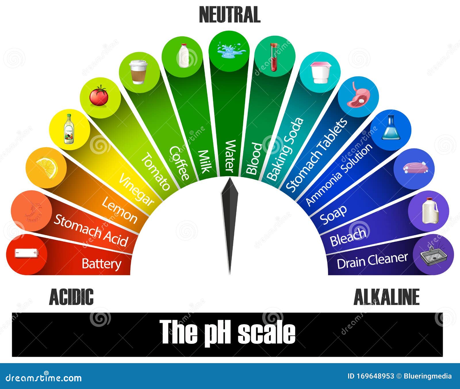 Ph Scale - Acids And Alkalines Examples Stock Photo | CartoonDealer.com ...