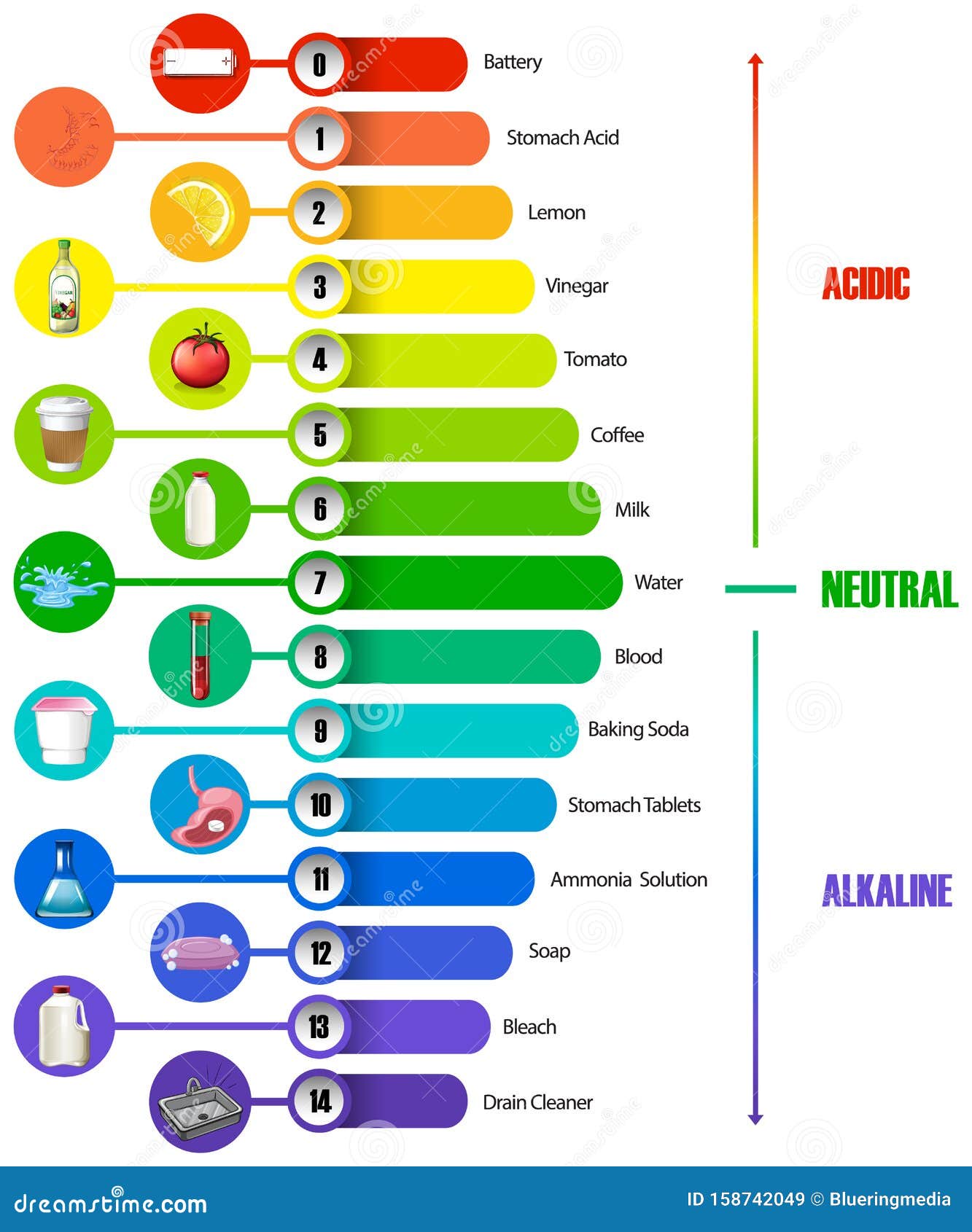 The PH Scale on White Background Stock Vector - Illustration of chart ...