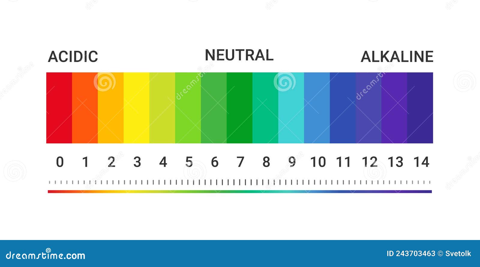PH Value Scale Chart For Acid-alkaline Solution. Acid-base Balance ...