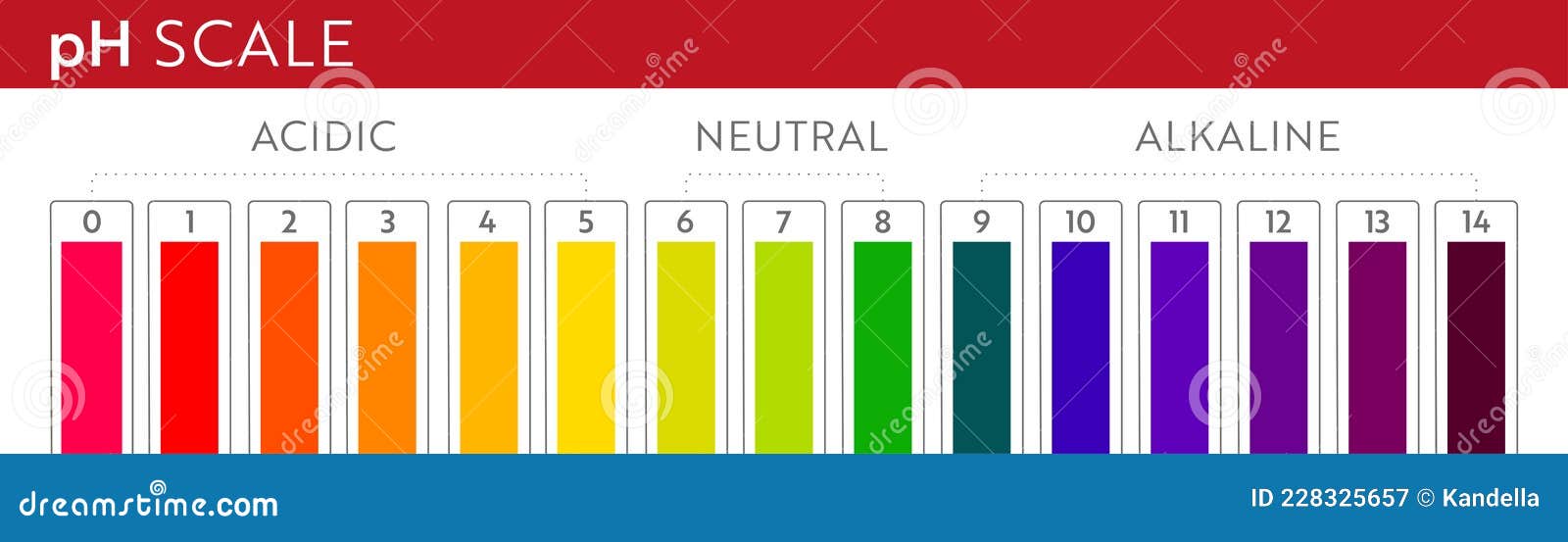 PH Value scale chart. stock vector. Illustration of chemical - 228325657