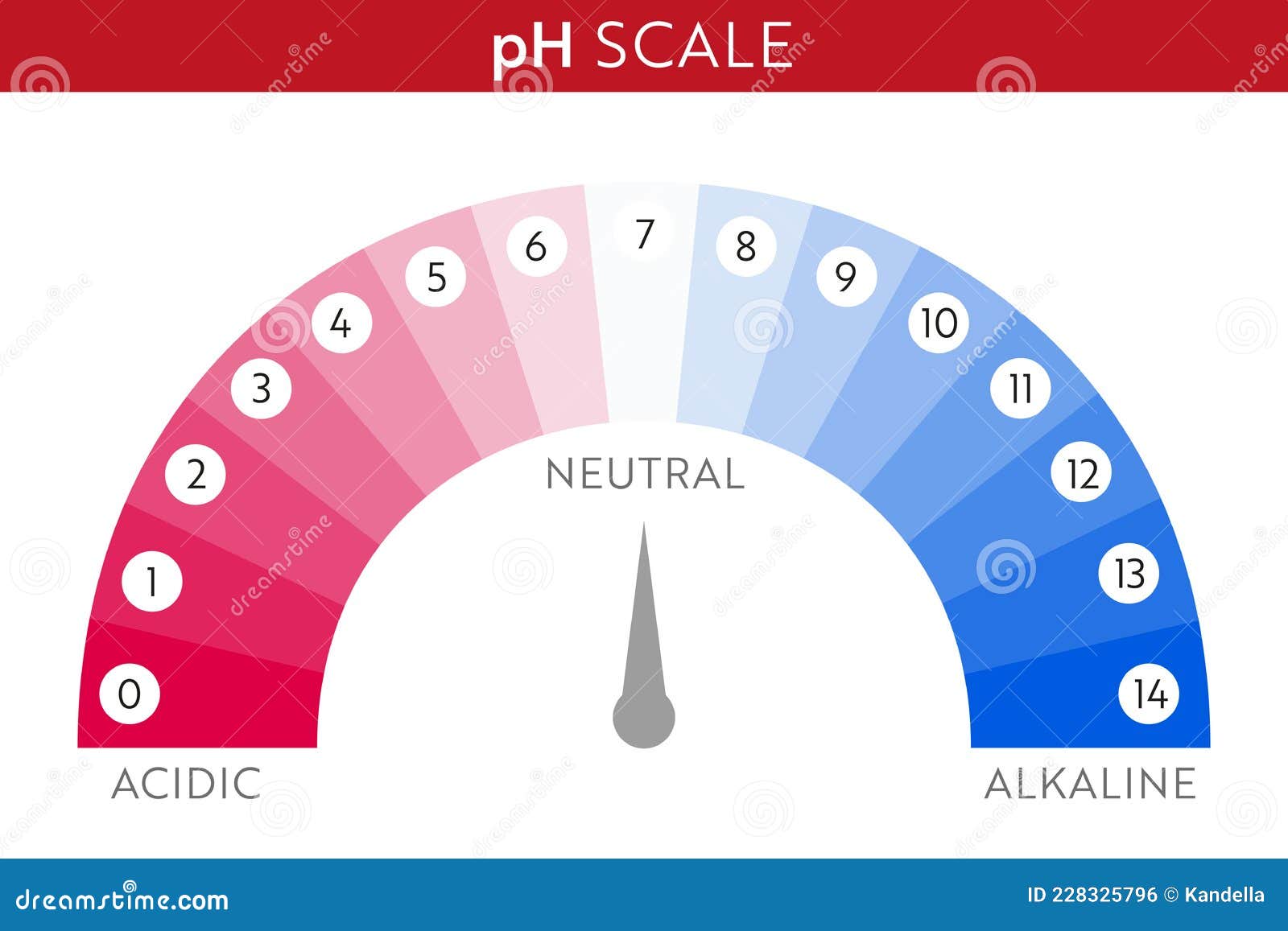 PH Value scale chart. stock vector. Illustration of alkali - 228325796